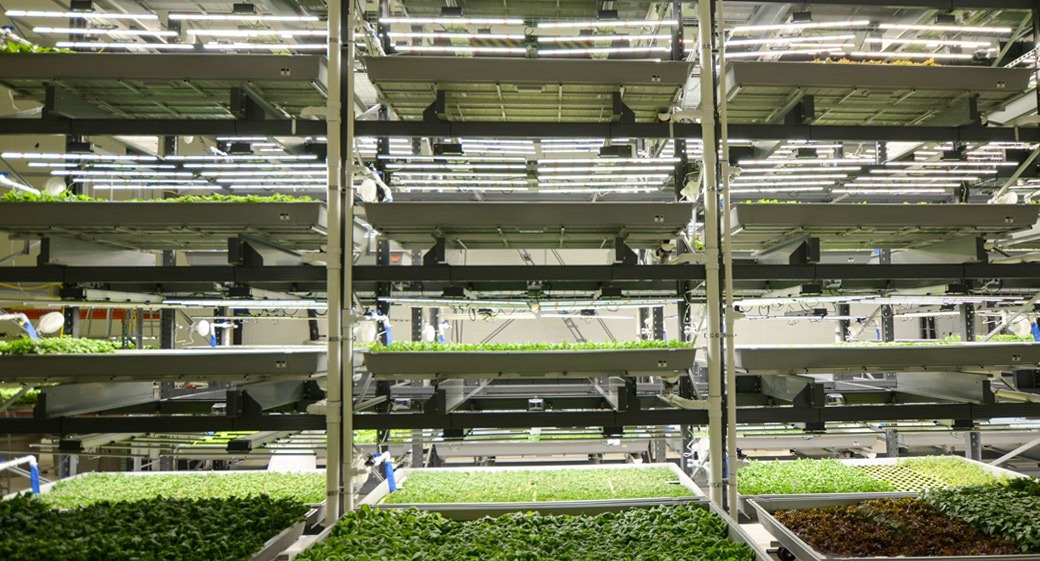 Bower Farming Venture Debt