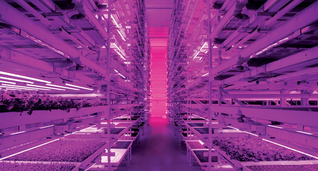 Robotany - Trinity Capital