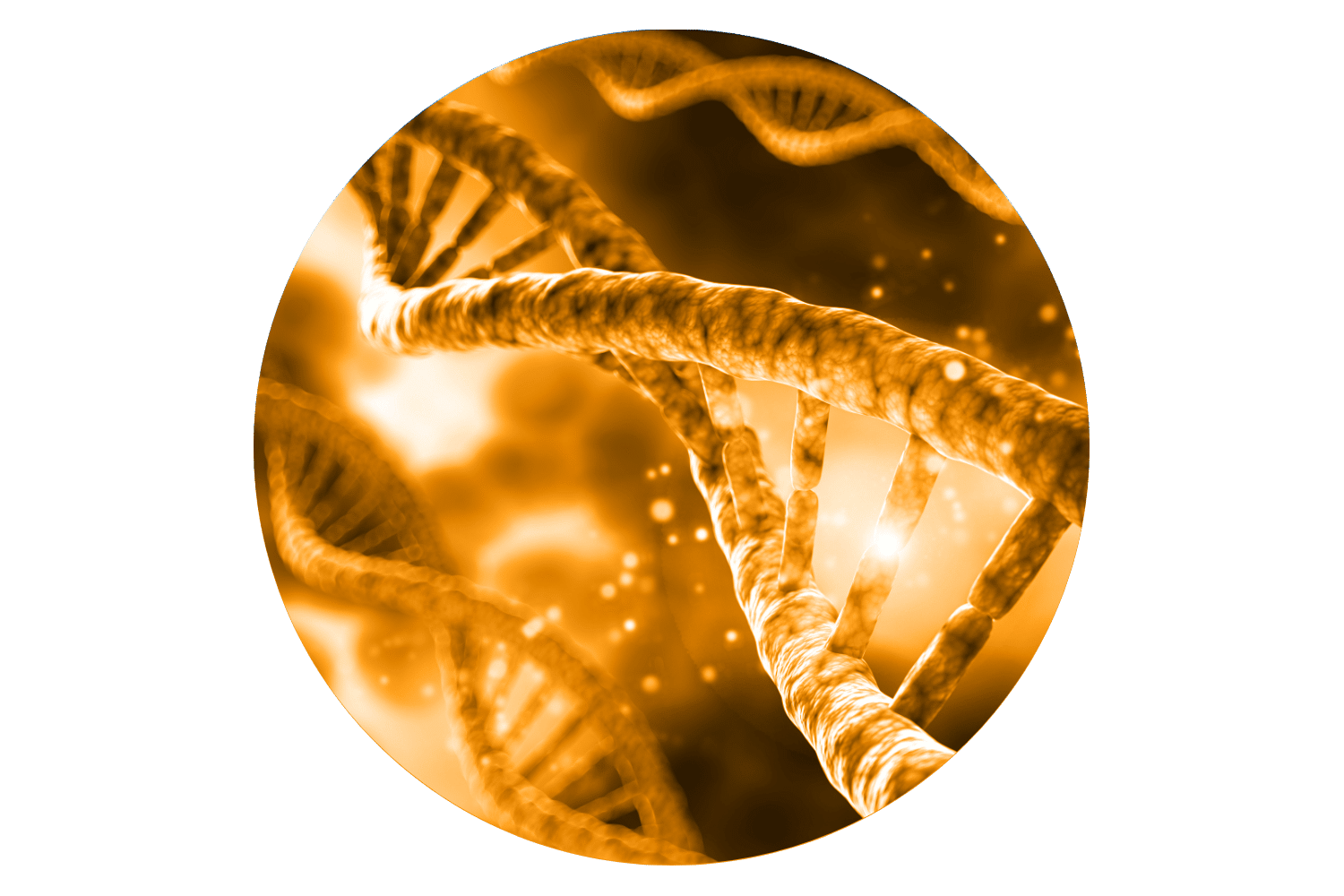 Candel Therapeutics - Trinity Capital